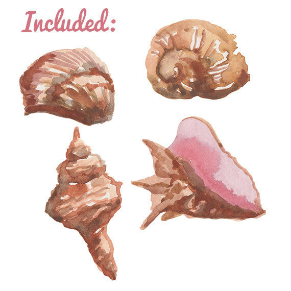 Watercolor shells Clip art Clipart beach clip art summer sea cli ...