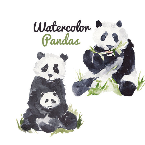 Watercolor Painted Panda Clip Art Pandas Commercial use digital ...