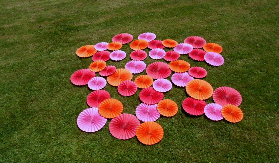 50 Custom Color Wedding Pinwheels - Decor by Toria - PinkLion