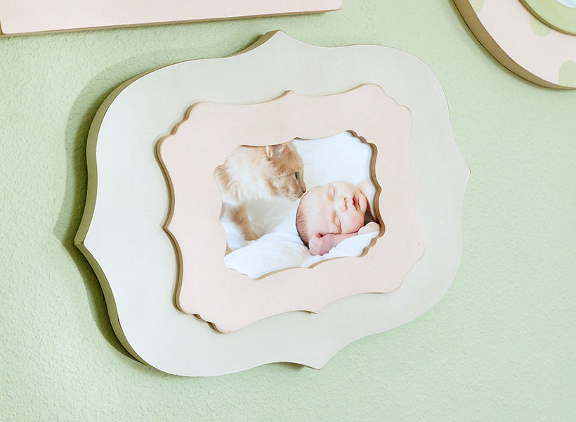 Shaped Nursery Picture Frame - Thistle & Poppy - PinkLion