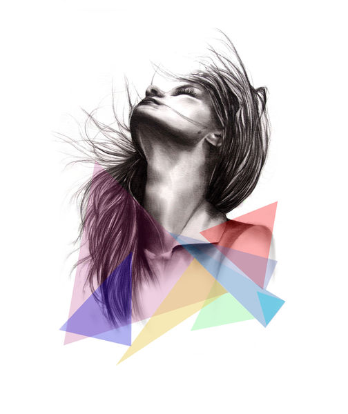 Crystalized - Paper & Ink - PinkLion