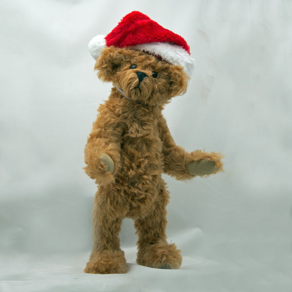 Handmade Mohair Teddy Bear 14 Inches - Wool Animal & Mohair Bear Shop ...